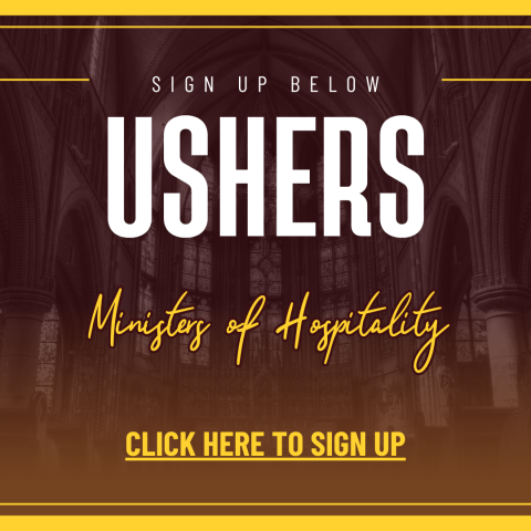 Volunteer Ministries | Nativity of Our Lord Catholic Church